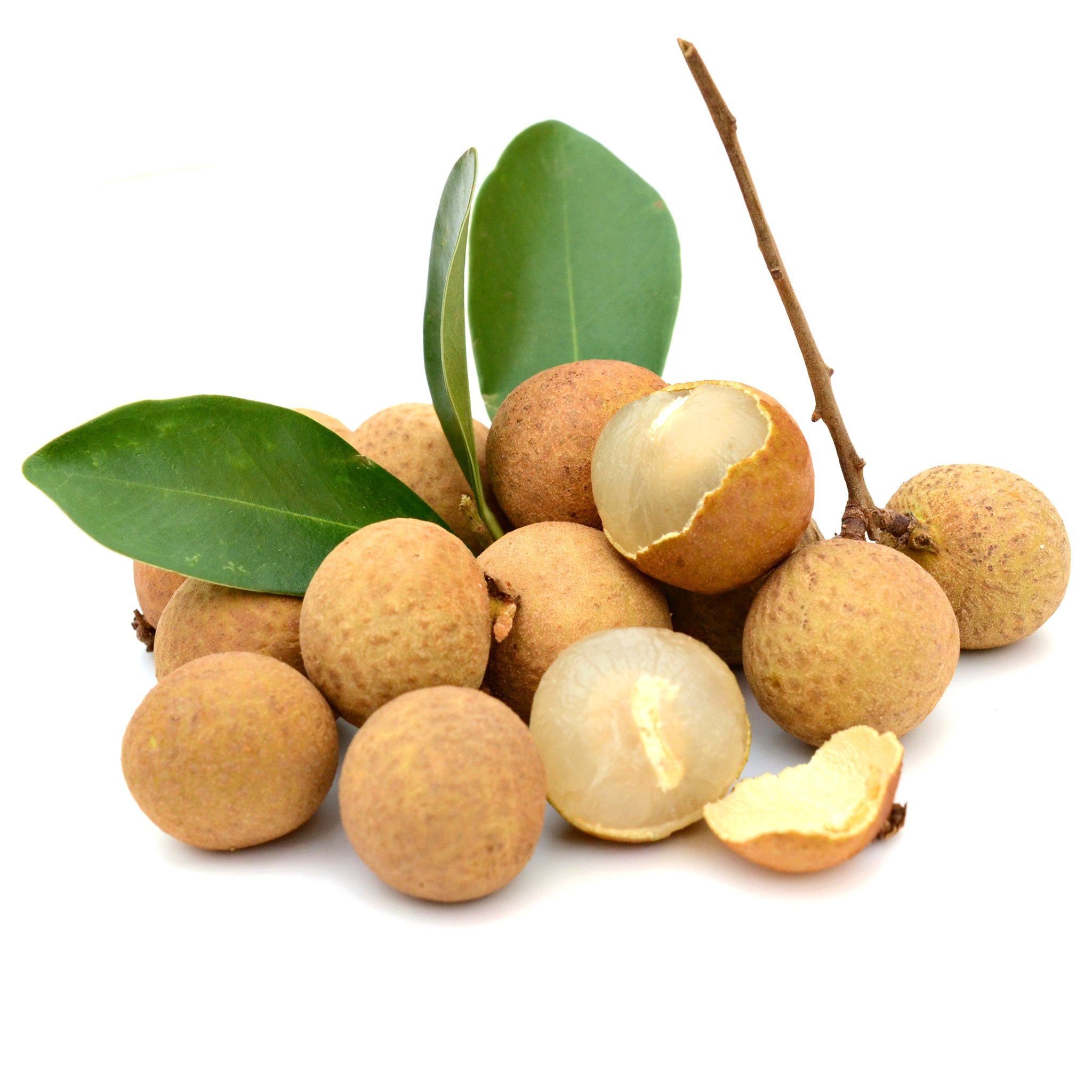 Longan Fruit – Carnal Elixirs